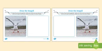 Seagull Art Activities | twinkl.co.uk