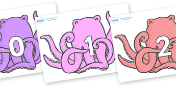 Octopus Resources & Activities for Early Years | Twinkl