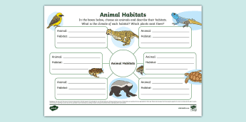 Animal Habitats | twinkl.co.uk