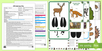 Woodland activities and Early Years Forest School Ideas