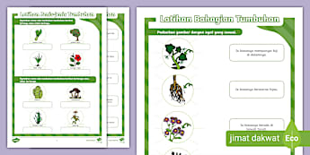 Sains dan STEM Sekolah Rendah Tahap 1 - Twinkl