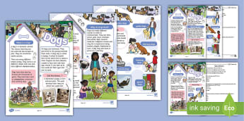 Reading Comprehension Year 2 - English Curriculum Resources