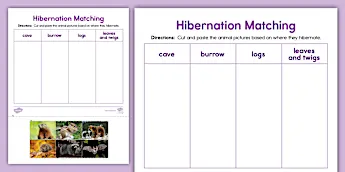 Hibernation Activities | twinkl.com