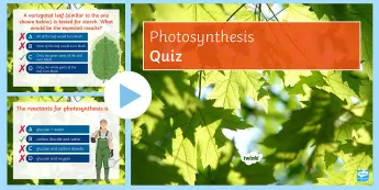Photosynthesis Quizzes | twinkl.com.au