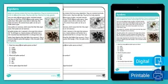 Reading Comprehension Worksheets | twinkl.com