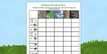 Minibeasts - Activities and Resources