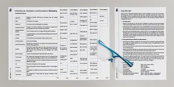 GCSE Variation Resources | twinkl.co.uk
