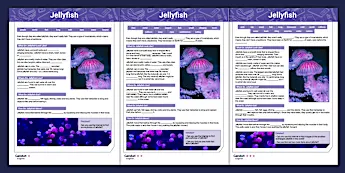 Jellyfish Biology Resources | twinkl.co.uk