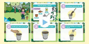 Plant Growth Presentations | twinkl.com.au