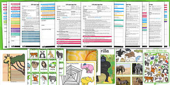 Rainforest and Jungle Animal Activities for Early Years EYFS