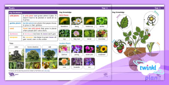 Science Lesson Plans KS1 Plants Resources