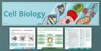 Transport Across Cell Membranes Cell Biology - N5 Biology - - Conduit