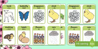 Spring Flashcards | twinkl.com.au