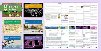 GCSE Inheritance Resources | twinkl.co.uk