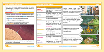 Living Things and Their Habitats - Year 5 Science Resources