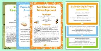 Springtime Science Activities | twinkl.co.uk
