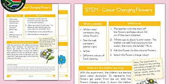 Preschool Science Experiments | twinkl.ca