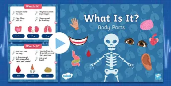 Interactive Human Bodies | twinkl.com.au