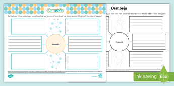 Osmosis Diagrams and Illustrations | Twinkl
