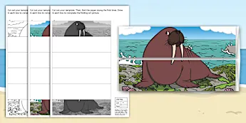 Walrus Artworks | twinkl.com.au