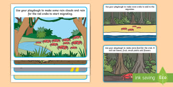 Christmas Island Crab Migration - Twinkl NewsRoom - Twinkl