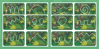 Rainforest Animals | twinkl.com.au