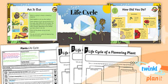 Life Cycle of a Plant | Plants | KS2 Science | Twinkl