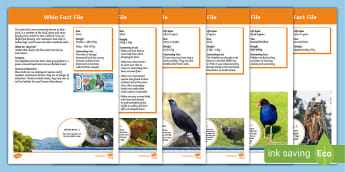 Animals - Topics/Themes - Years 3 - 4 - New Zealand - Twinkl