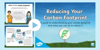 Environment Lessons | twinkl.co.uk