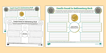 Fossils Activities | twinkl.co.uk