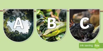 Alphabet Display Buntings | twinkl.co.uk