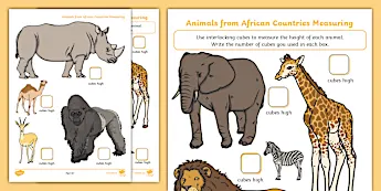 Measuring Animals | twinkl.com.au