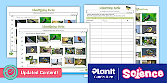 Biodiversity - Birds Year Three - 3 - Science Lesson Plans for Primary ...