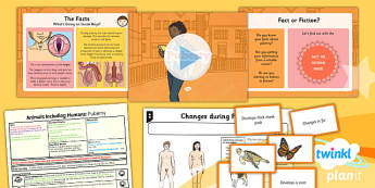 Animals including Humans - Reproductive System Lesson Plan