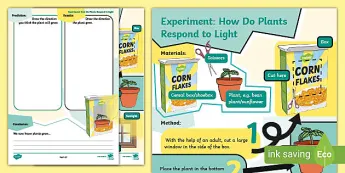 Biology Experiments | twinkl.co.uk