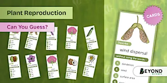 Plant Reproduction Resources | twinkl.co.uk