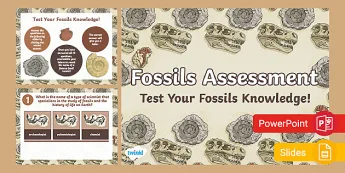 Fossils Activities | twinkl.com