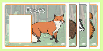 Woodland Animals | Forests | KS1 Resources | Twinkl - Twinkl