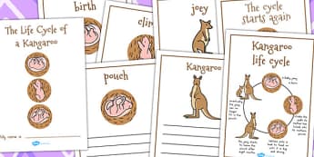 Life Cycles Kangaroo Life Cycle Early Years (EYFS) - Primary Reso