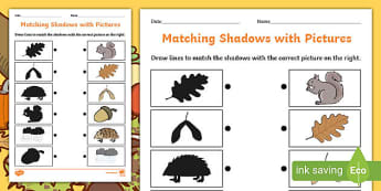 Autumn Weather Activities | Fall Teaching Resources - Twinkl