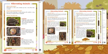 Biology Reading Comprehensions | twinkl.co.uk