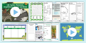 Sustainability Integrated Units | Year 5 | Twinkl Australia