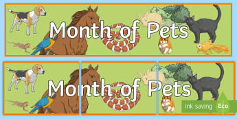 National Pet Month - Twinkl NewsRoom - Twinkl