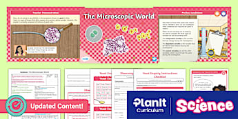 Living Things and Their Habitats - Year 6 Science Resources