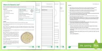 Bacteria Activities | twinkl.co.uk