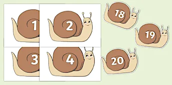 Number Flashcards 0-20 | twinkl.co.uk