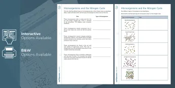 Nitrogen Cycles Biology | twinkl.co.uk