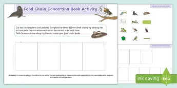 Food Chain Activities | twinkl.co.uk