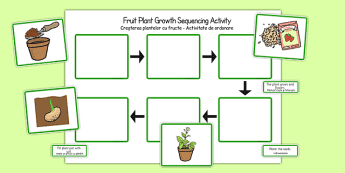 Plant Growth Activities | twinkl.co.uk