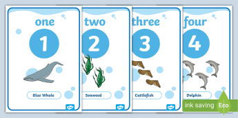 Mathematics Classroom Posters | twinkl.co.uk